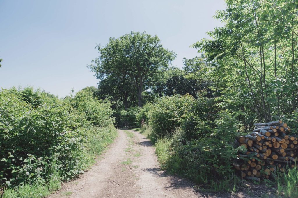 Wood and Penfold Cabins - Cabins and Castles