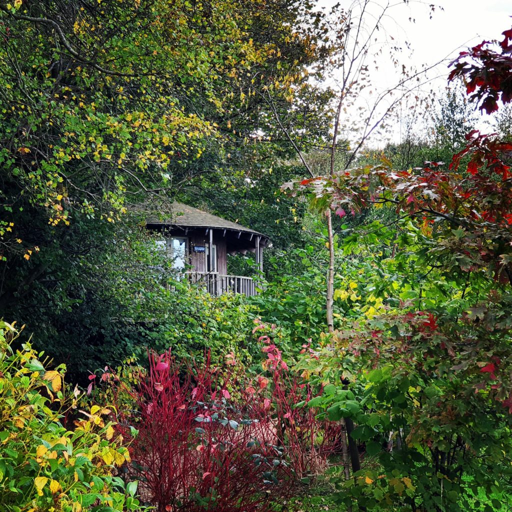 Fair Oak Farm - Cabins and Castles