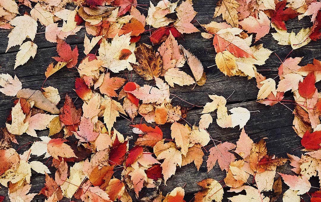 Ideas for an Autumn Escape - Cabins and Castles